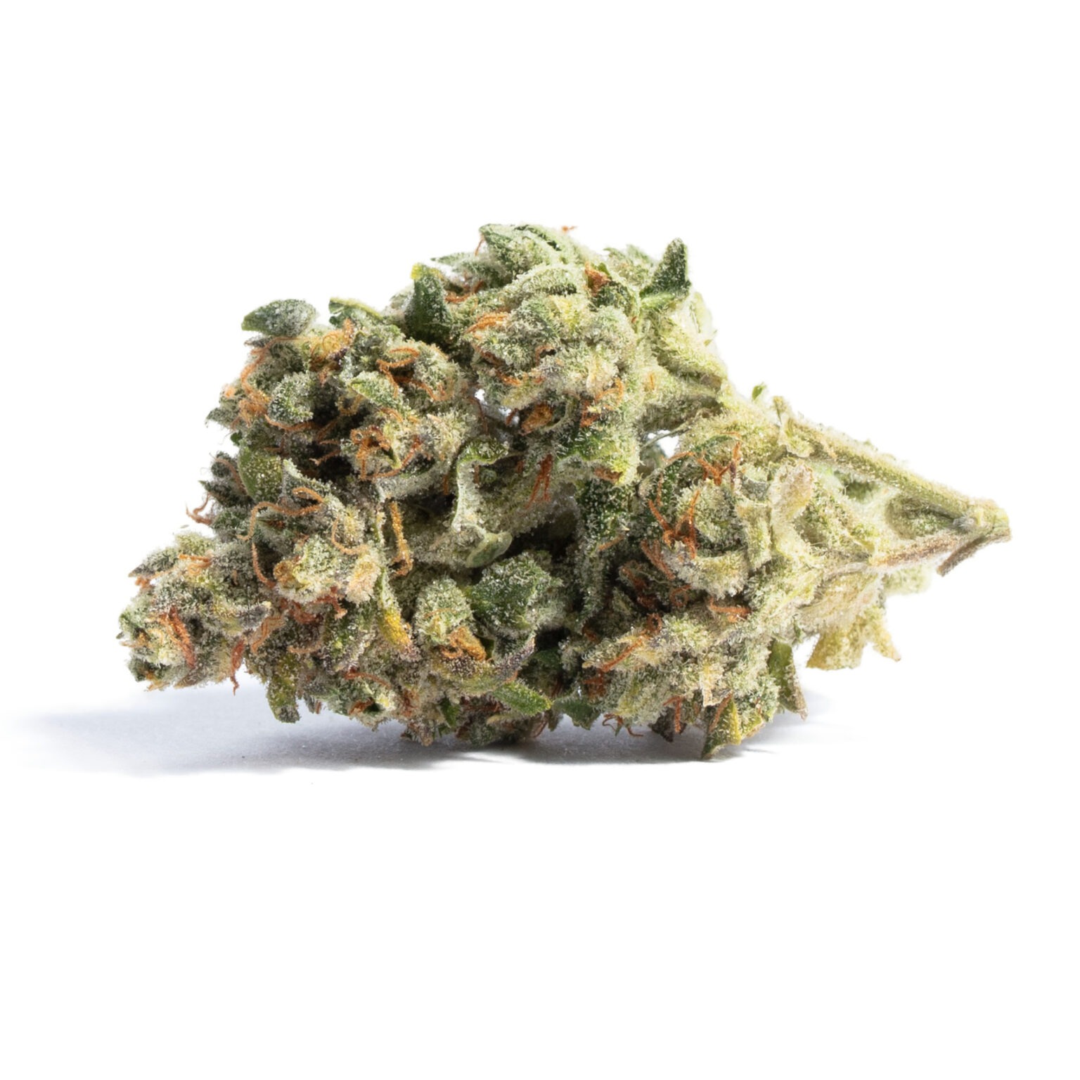 Shop | Alpha Buds