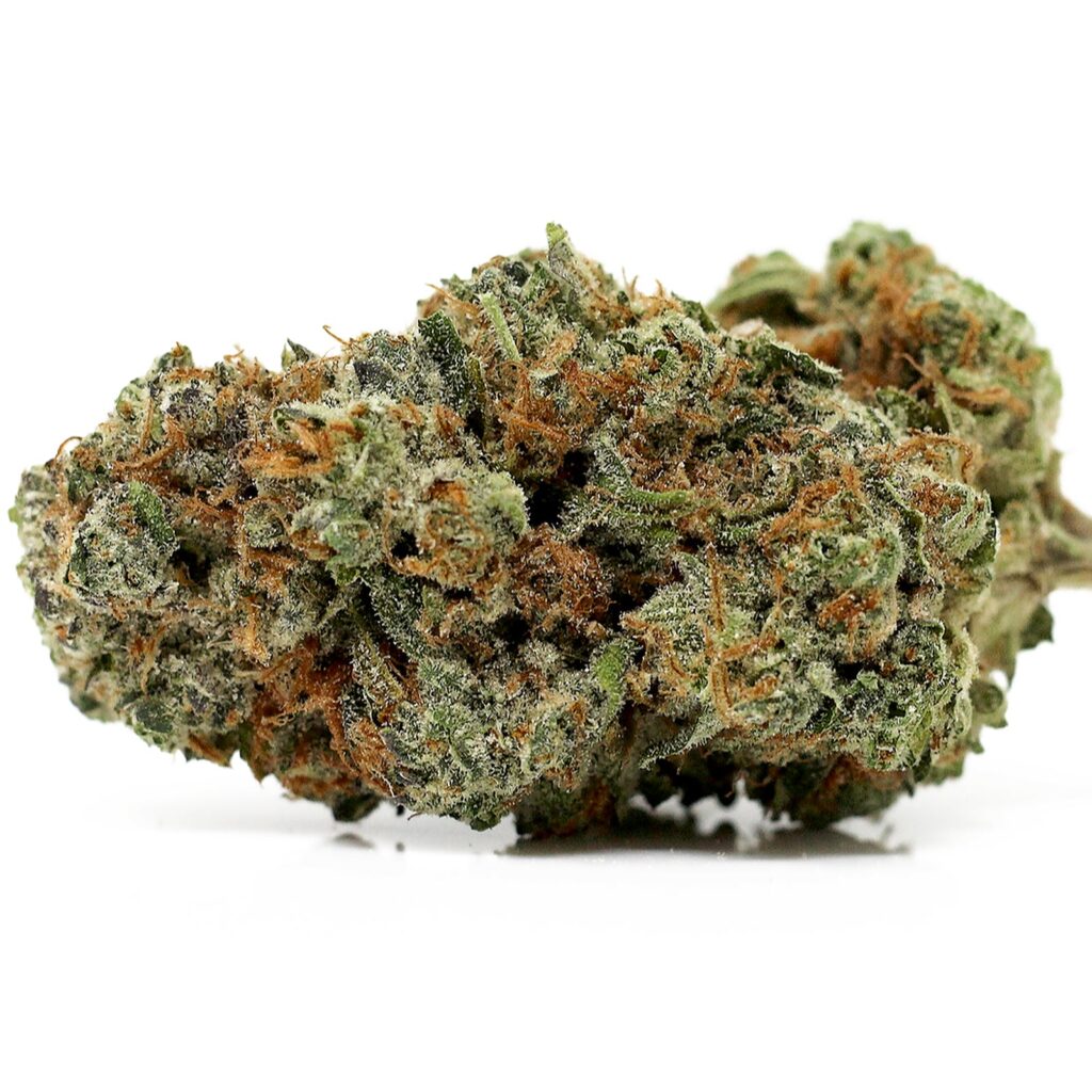 AAA – Alpha Buds